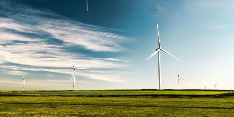 Bee Net Zero's EV Campaign